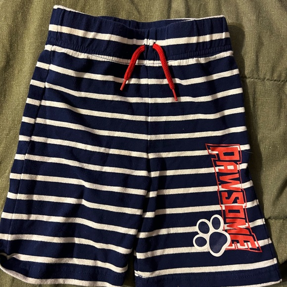 Nickelodeon | Bottoms | Nick Jr Paw Patrol 4t Shorts | Poshmark